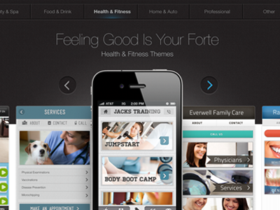 Theme Selector UI WIP by Joel Beukelman on Dribbble