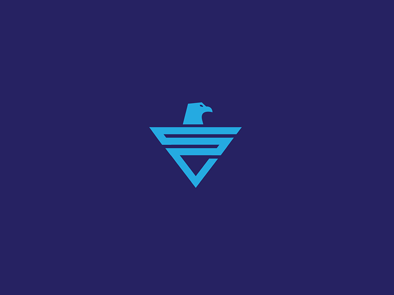 SKYVISION Logo by Mohamed Kamal on Dribbble