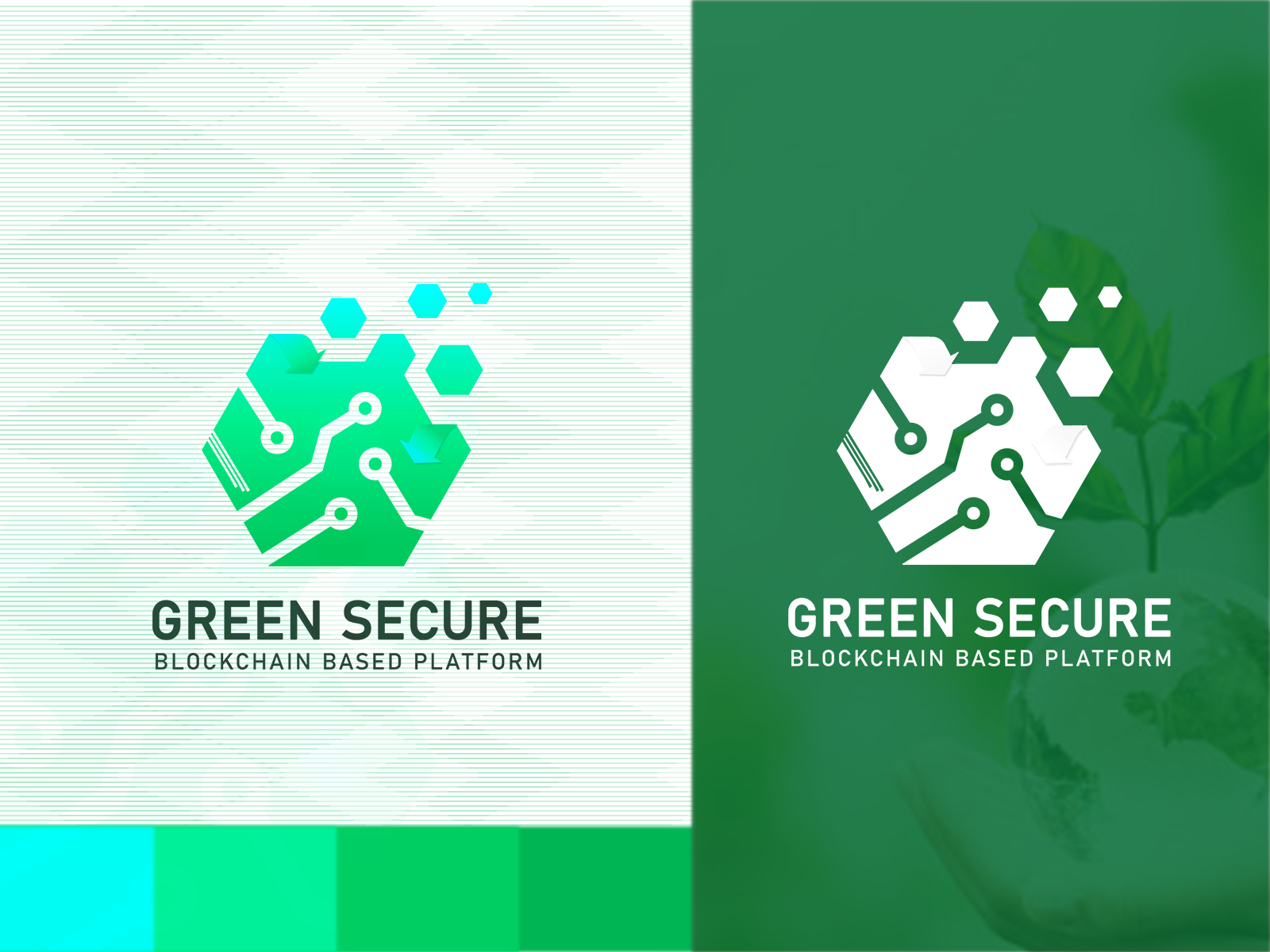 Green Secure Logo by kainat khalid on Dribbble