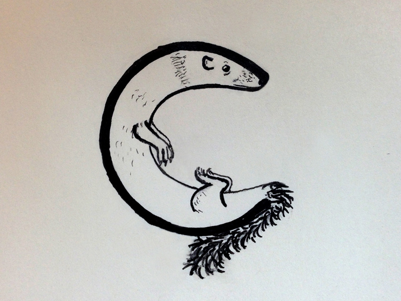 Dribble C by MJH on Dribbble