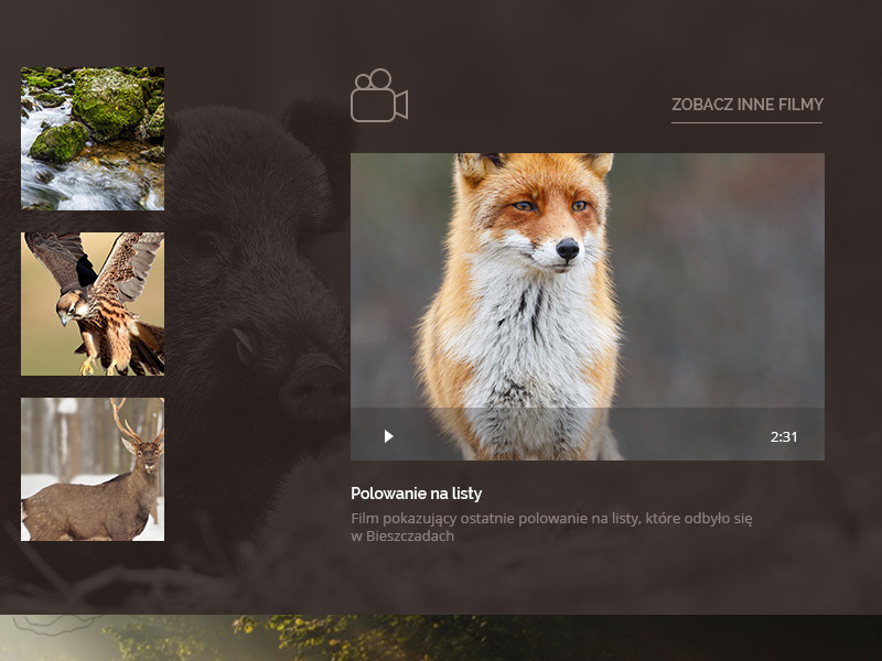 UI - Simple Video Player by Marcin Czaja on Dribbble