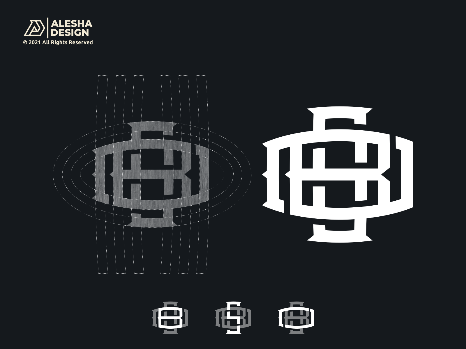 BSD Logo Design! by alesha design on Dribbble