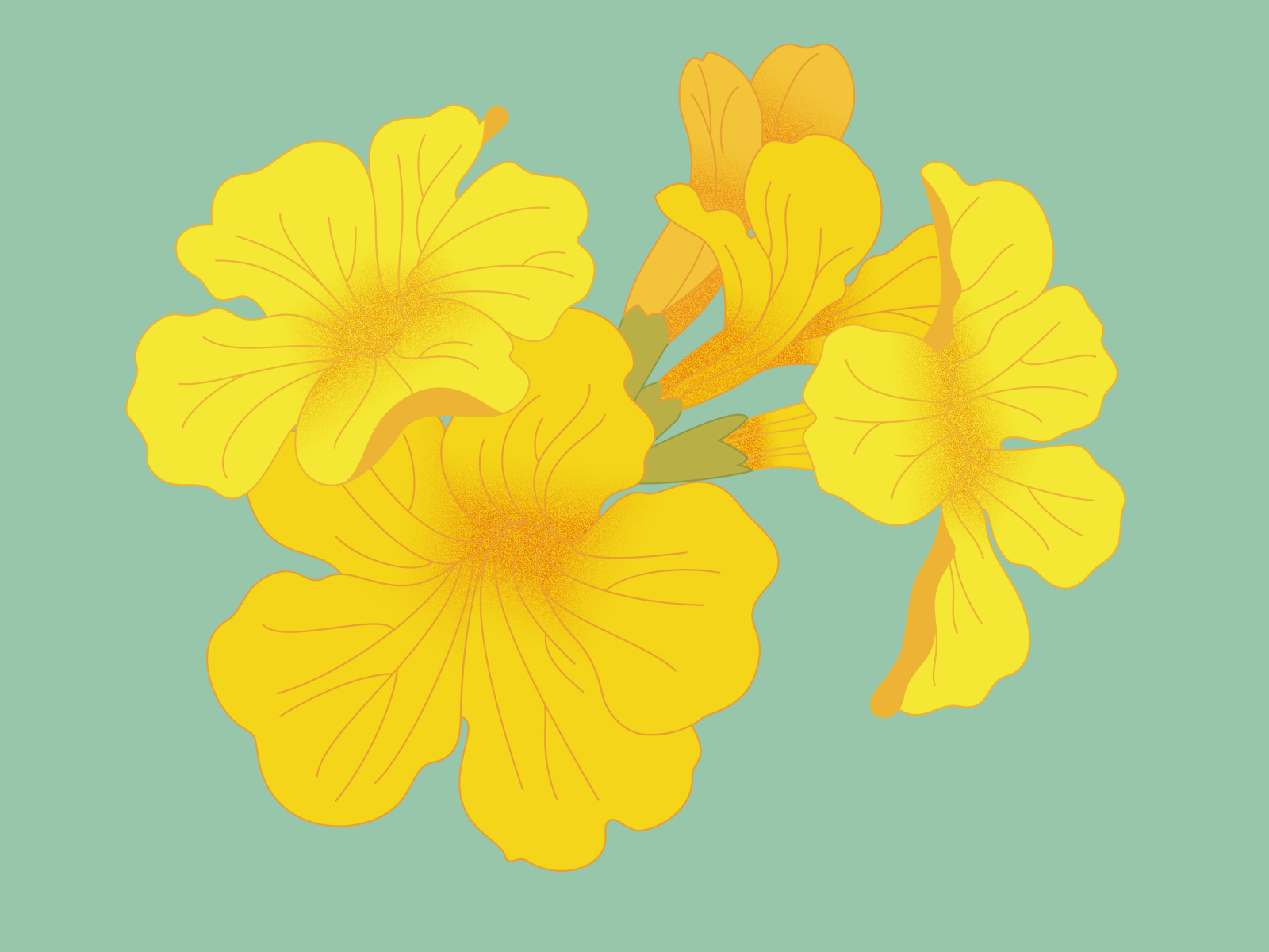 Ipê by Suiane Cardoso on Dribbble