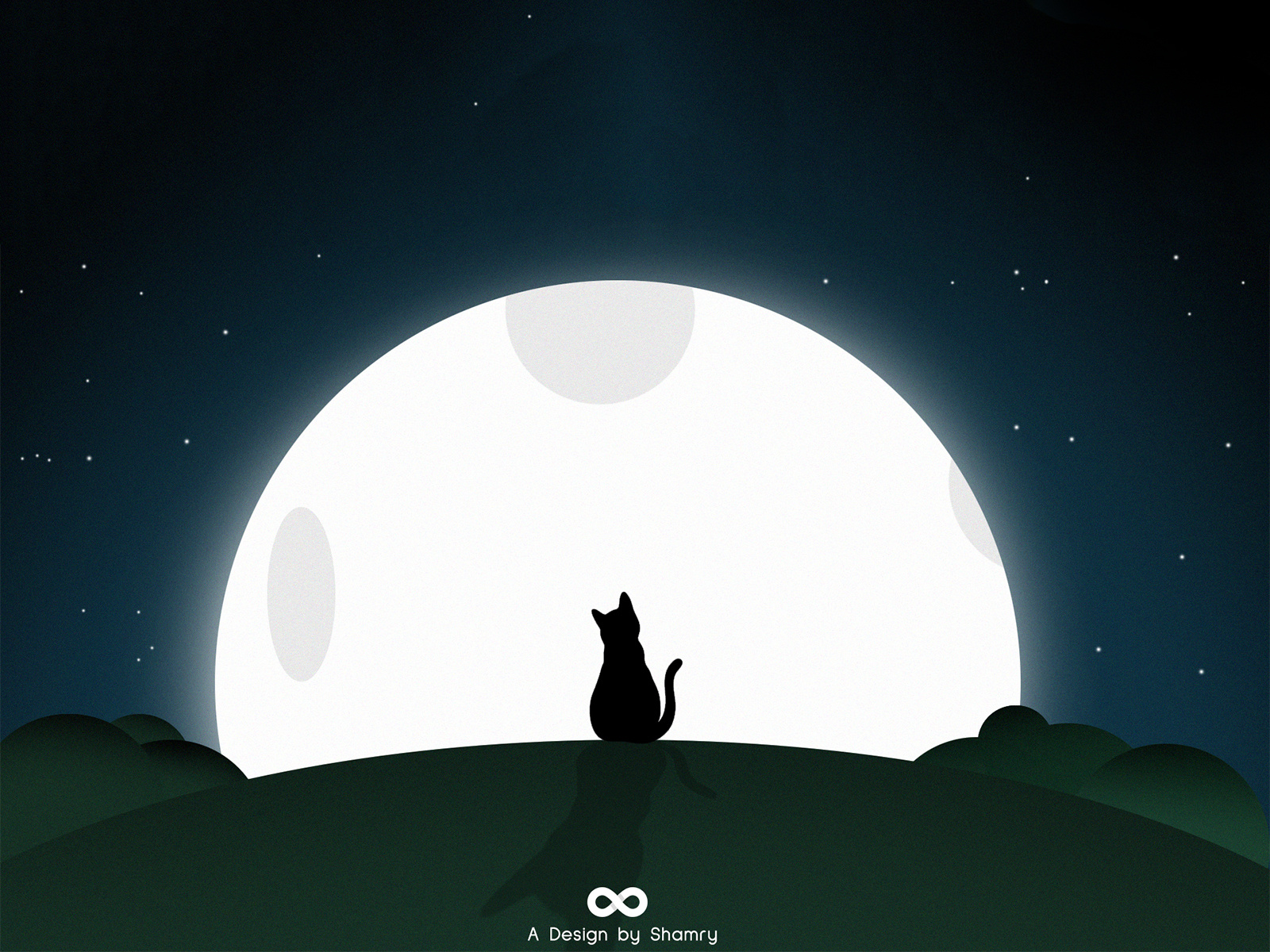 Lonely Cat by Shamry on Dribbble