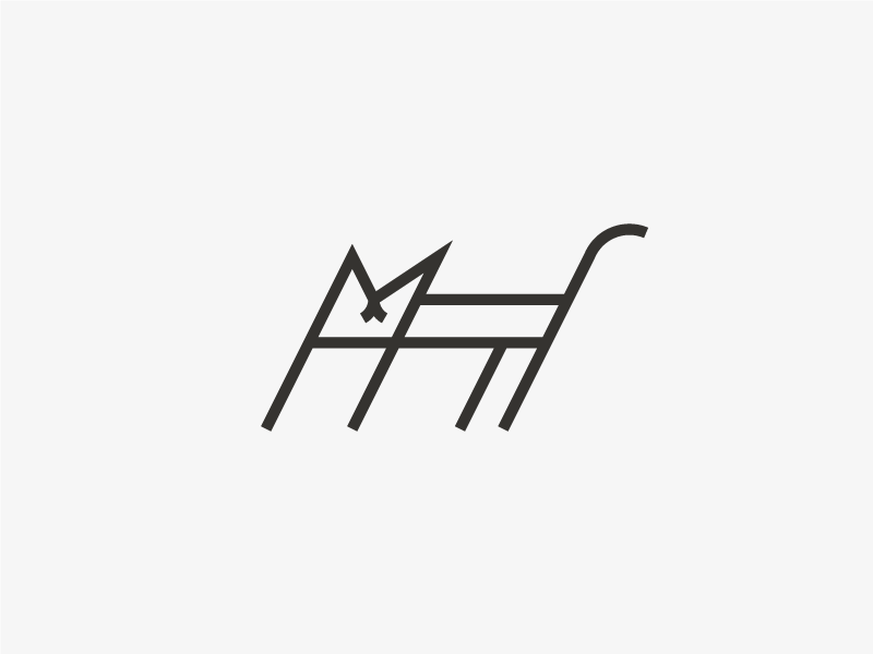 Studio El Gato by Lucas Braga on Dribbble