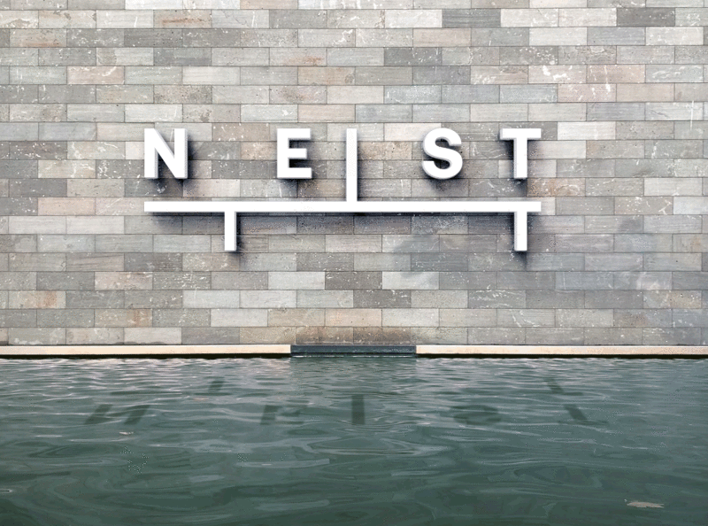 Nest Development logo by Oleg Shedlovsky on Dribbble
