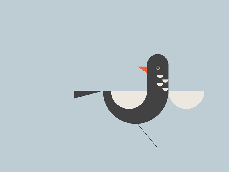 Bird by Dustin Wallace on Dribbble
