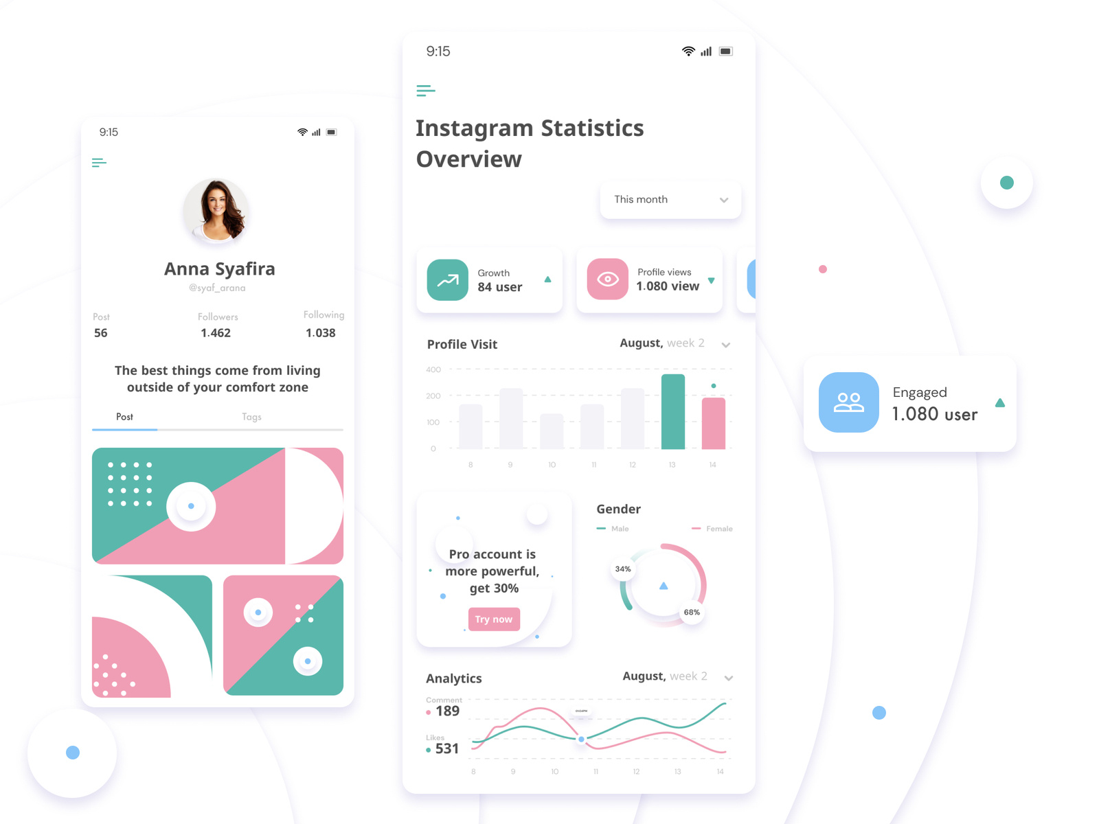 Instagram Statistics Overview by Antonina Diadenchuk on Dribbble