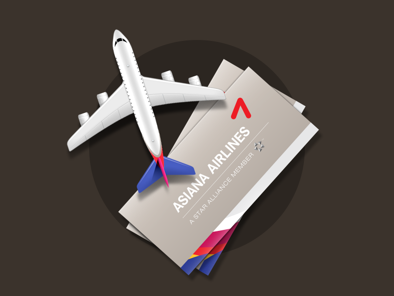 Airline Redesign 2 by Layer Lab on Dribbble