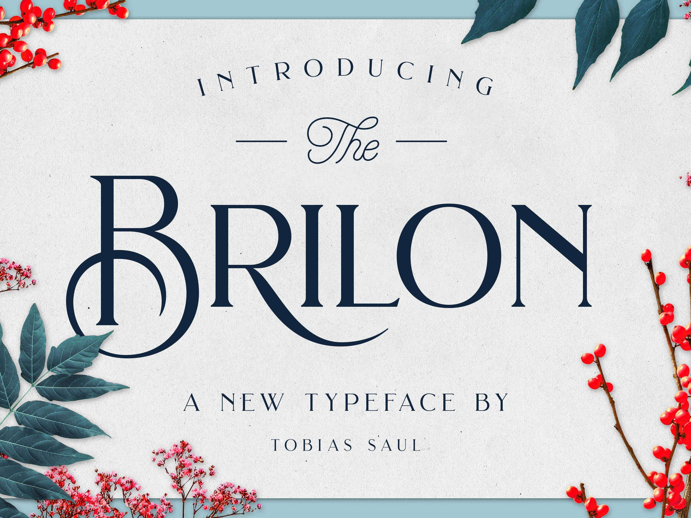 Dribbble - 01-90.jpg by Fonts