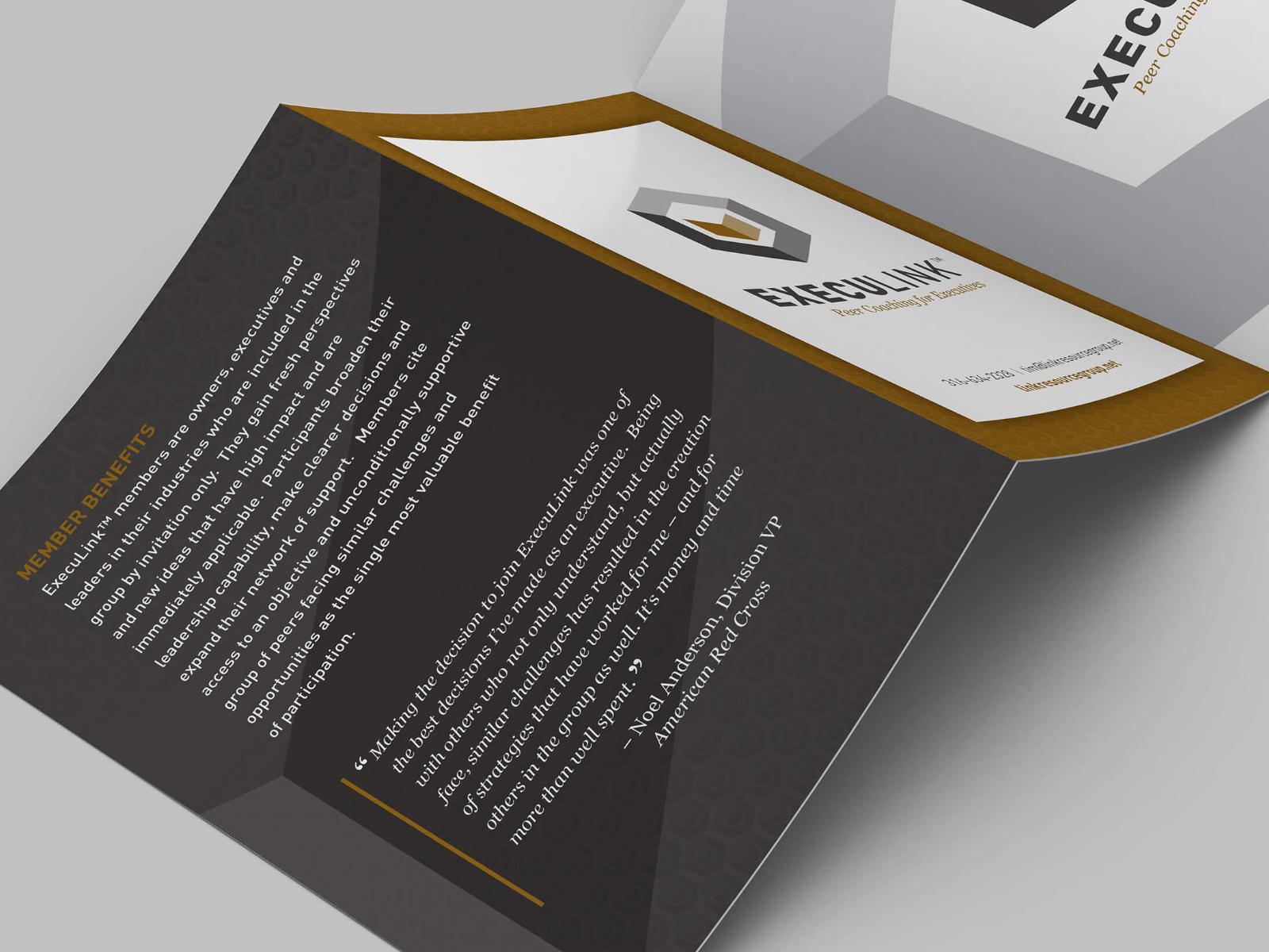 ExecuLink Brochure by Chris Braun - Studio928 on Dribbble