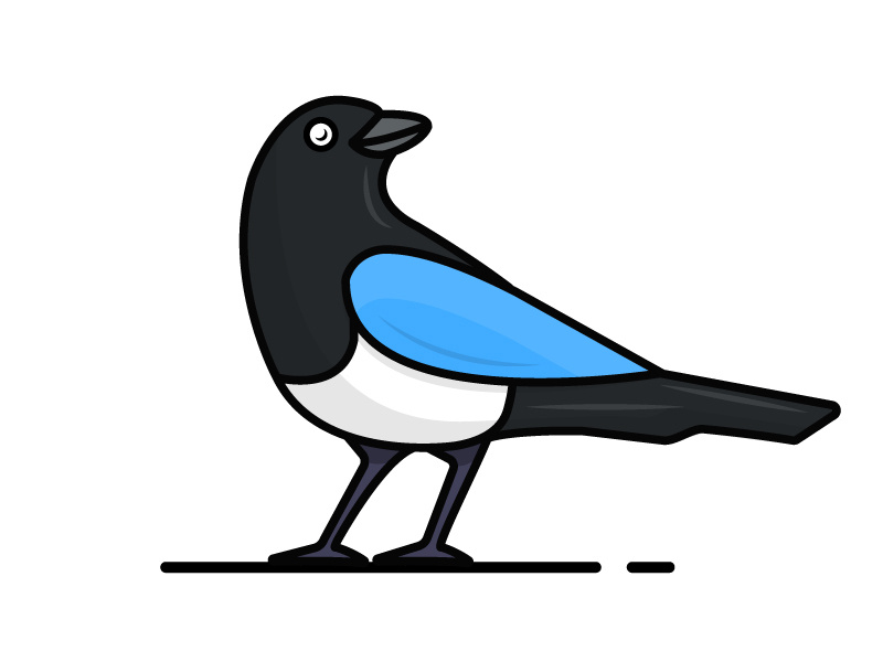 Magpie by James Farndon on Dribbble