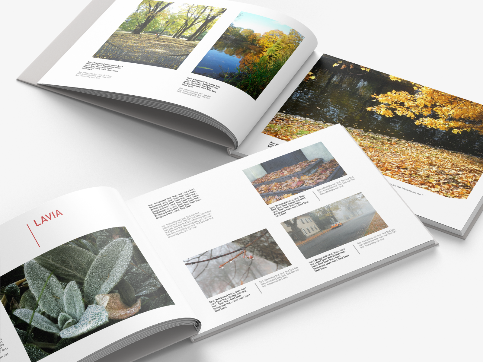 Photobook by ALena on Dribbble