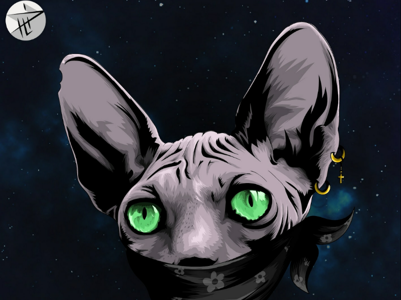 Gangsta-Cat by P.Li on Dribbble