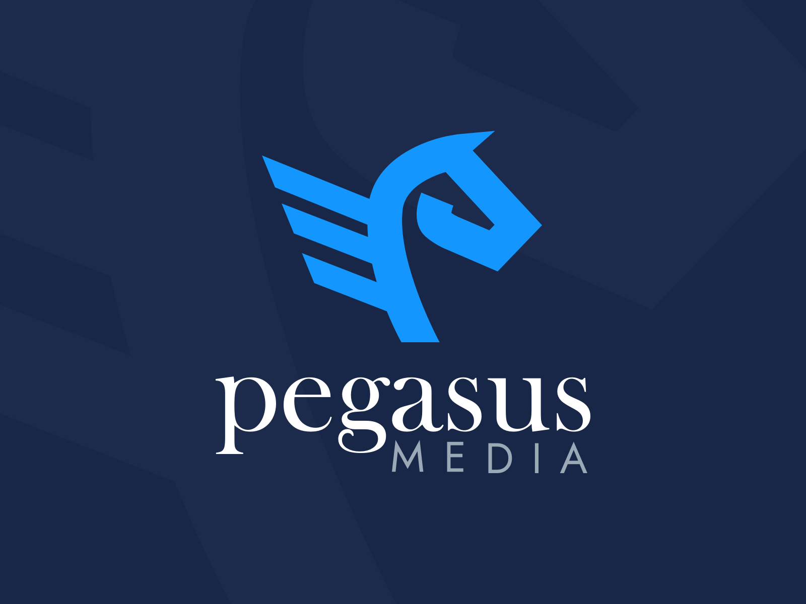 Pegasus Brand Identity by Chris Alexander on Dribbble