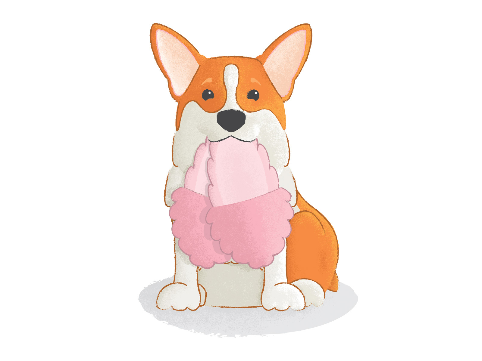 Corgi Illustration by Paul Beveridge on Dribbble