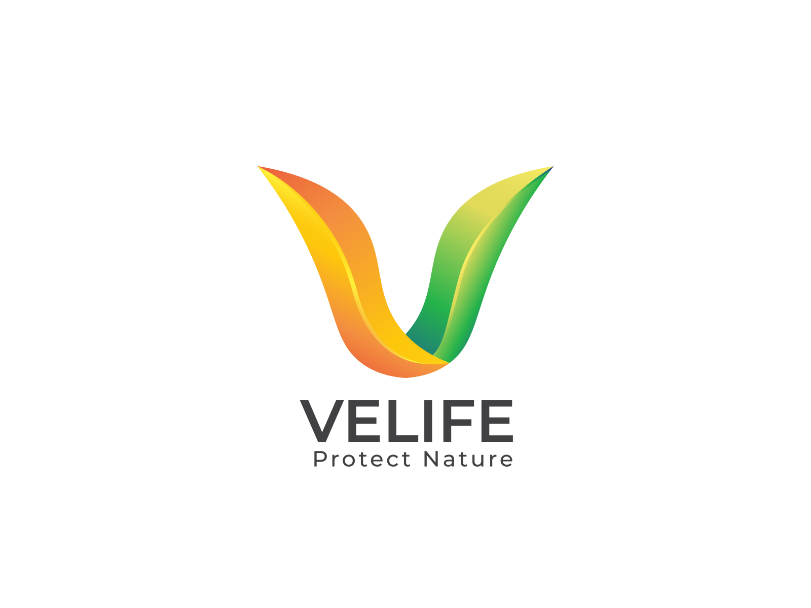 Velife logo by ASGHAR SAEED BALOCH on Dribbble