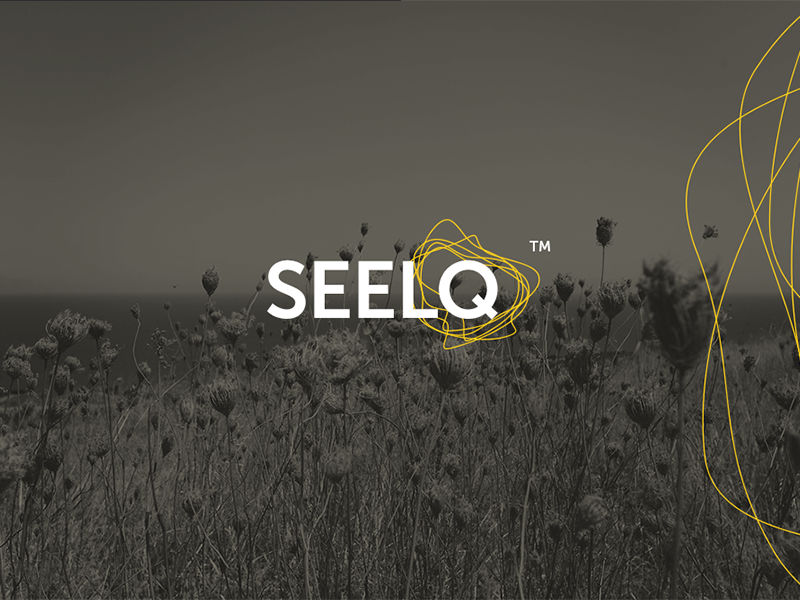 Seelq Logo Concept by Arek Płatek on Dribbble