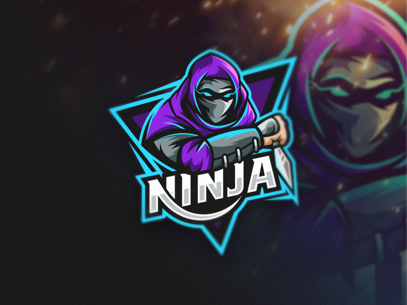 Ninja Assasin eSports logo by Artnivora Studio on Dribbble