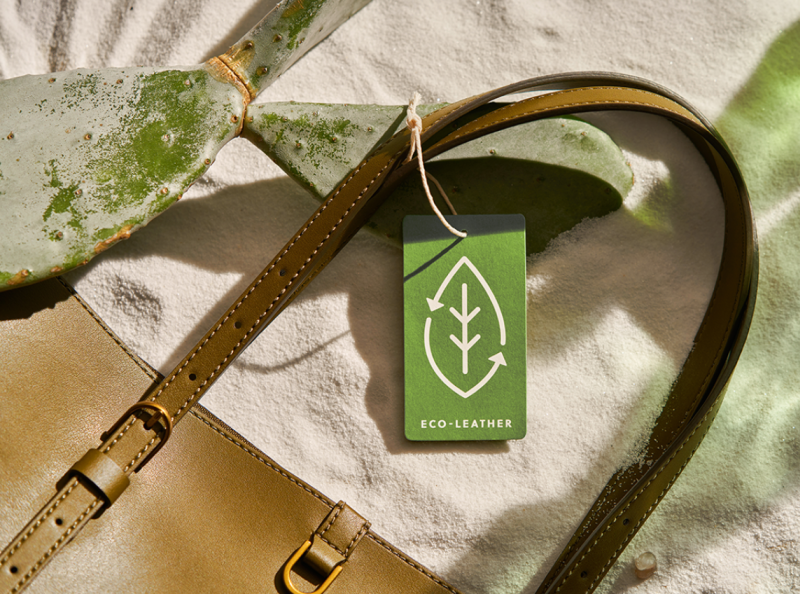 Fossil Packaging by Lauren Ruark on Dribbble