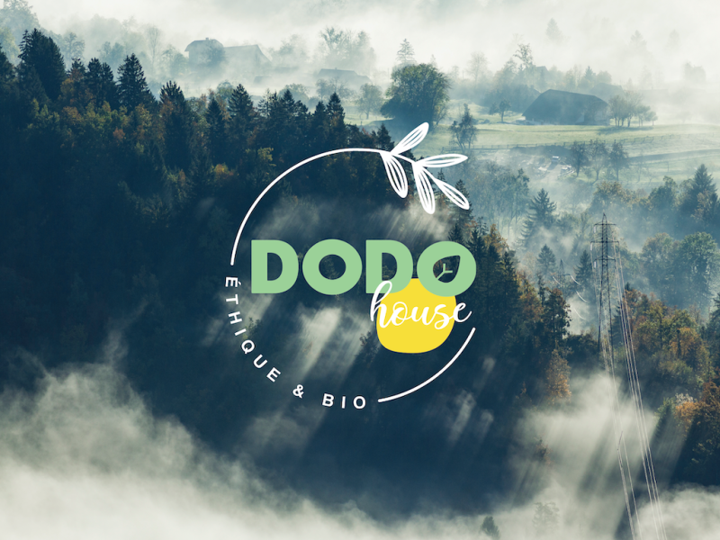 Dodo House : logo design by Dood on Dribbble