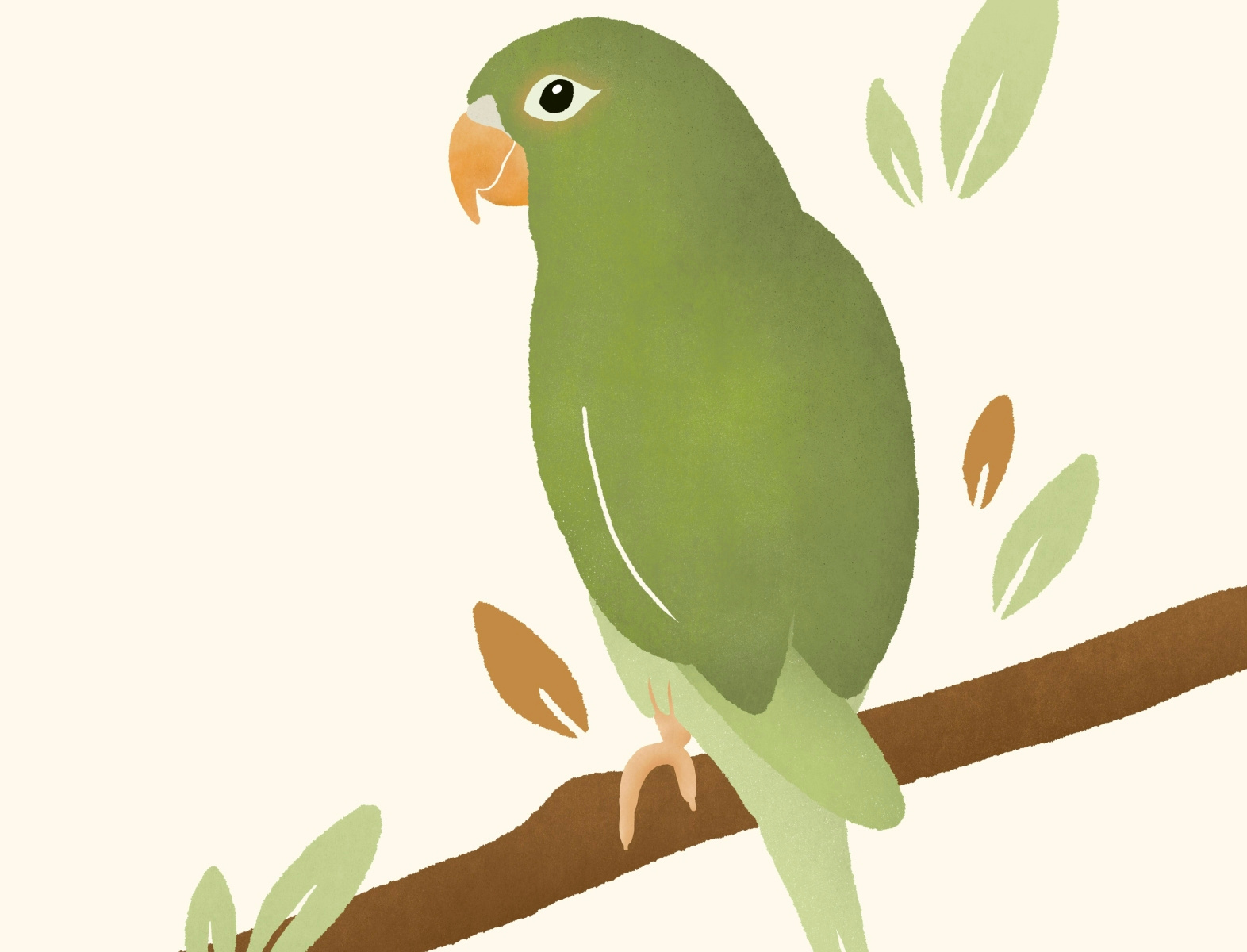 Procreate parakeet by Rebekah Hadman on Dribbble
