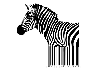 Zebra Code by Mahdi Joban on Dribbble
