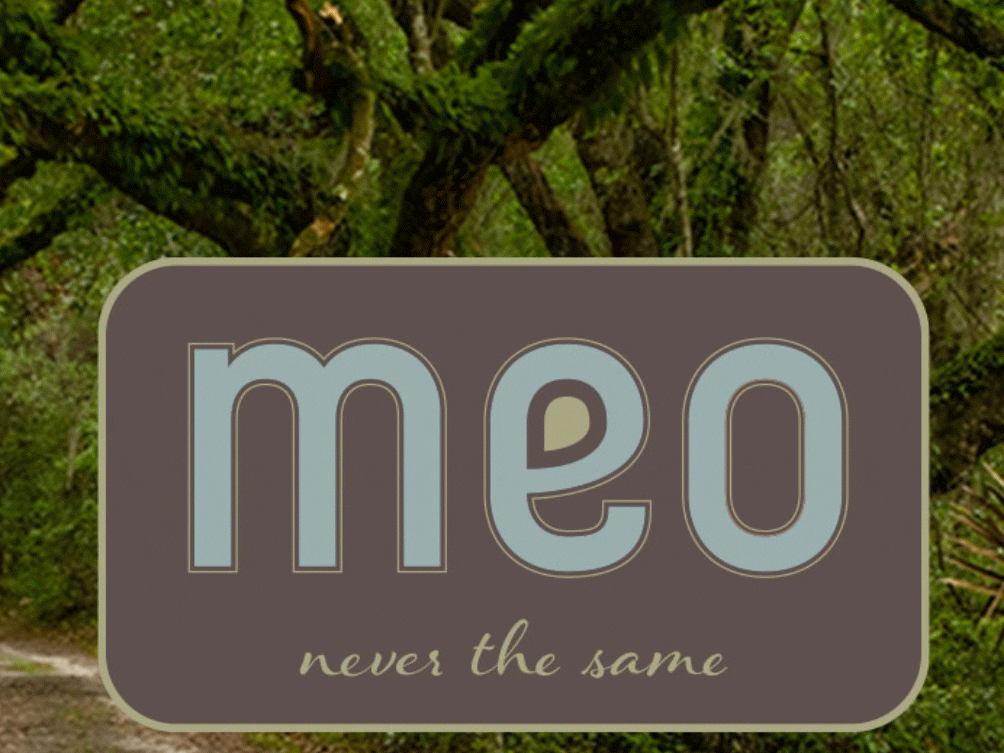 Meo 2 by Andrew Smock on Dribbble