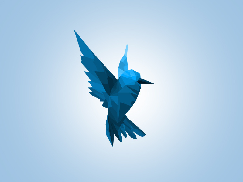Low Poly | Bird by Zaw Min Tin for Pixellion on Dribbble