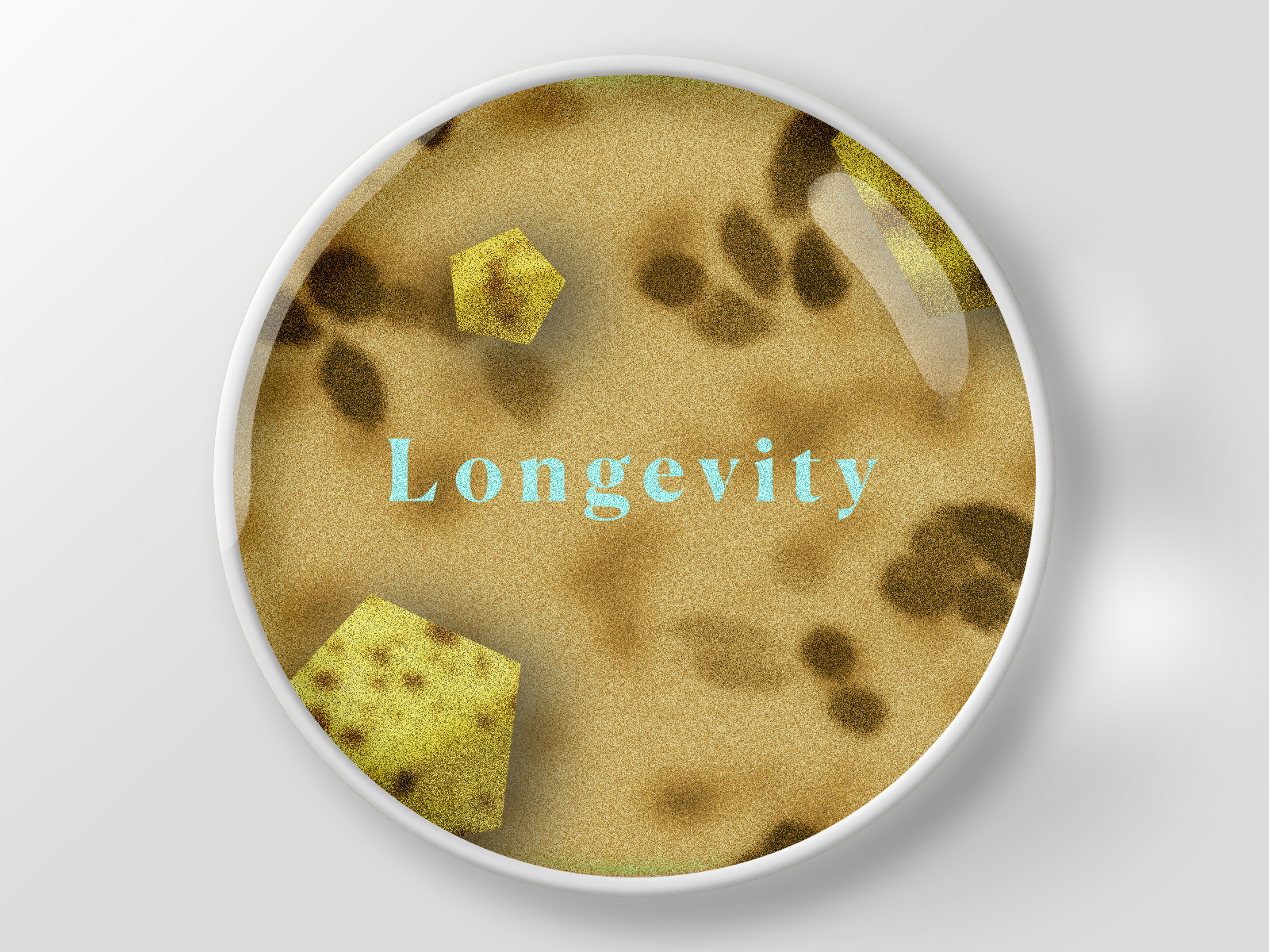 Longevity sample by Eddier Montiel on Dribbble