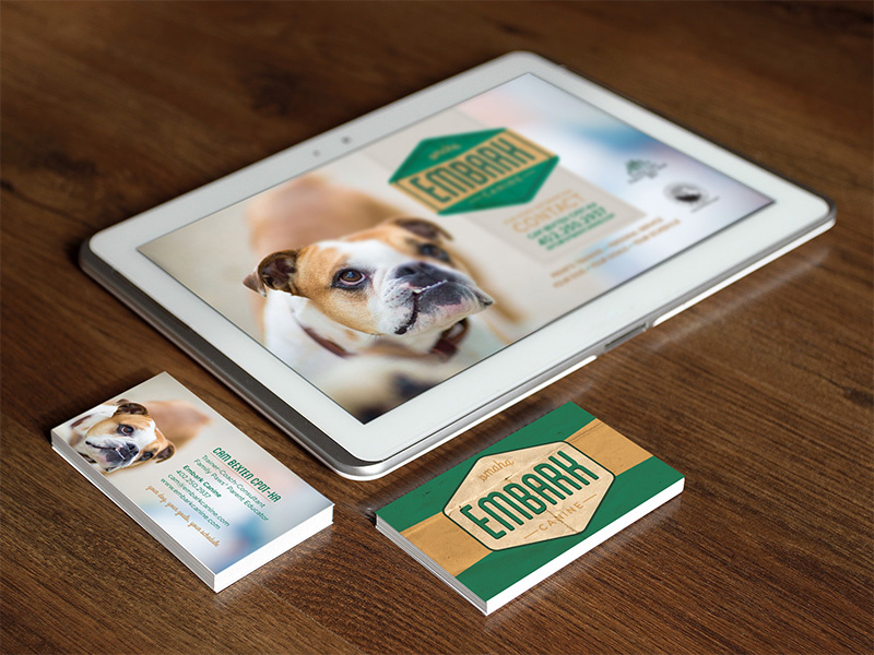 Embark Business Cards and Splash Page by Krystal Leichliter on Dribbble
