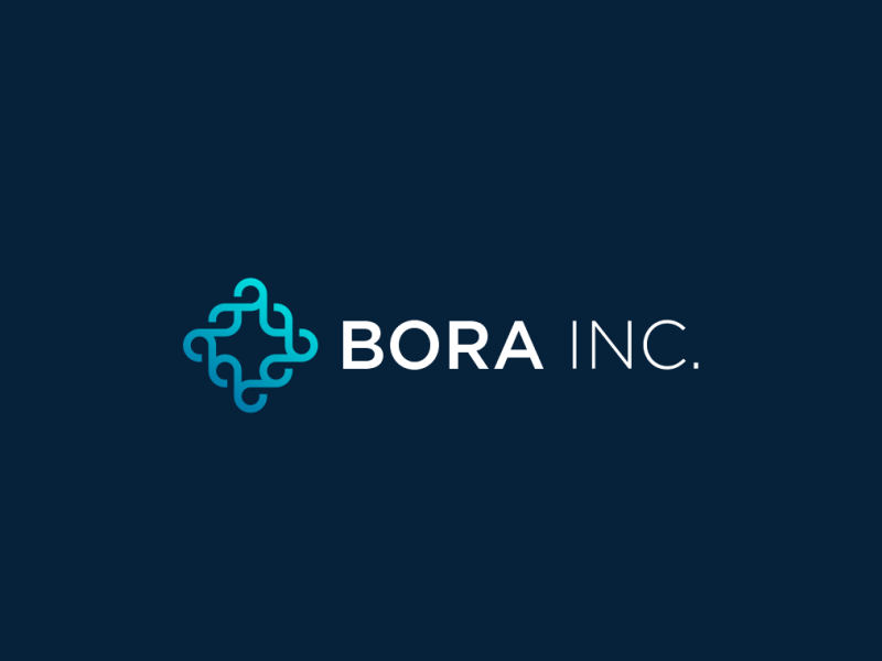 Bora Inc Logo By Md Bodiuzzaman On Dribbble
