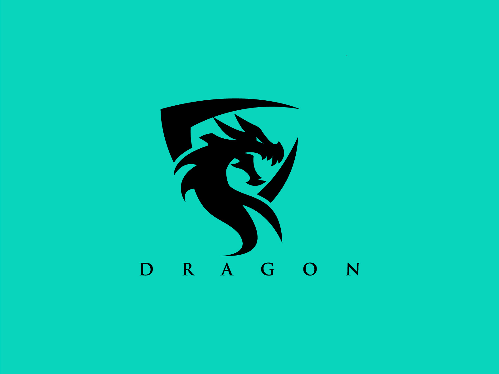 Dragon Logo by Usman on Dribbble