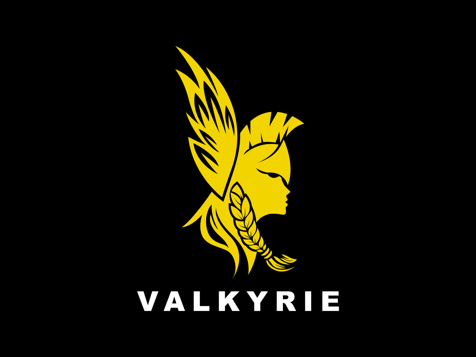 Valkyrie Logo by Usman on Dribbble