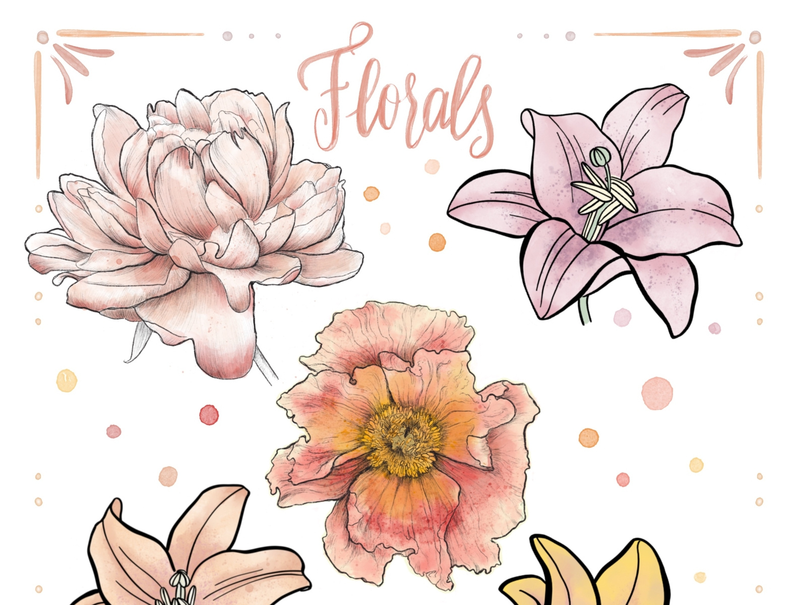 Florals sticker pack by Maria Dinu on Dribbble