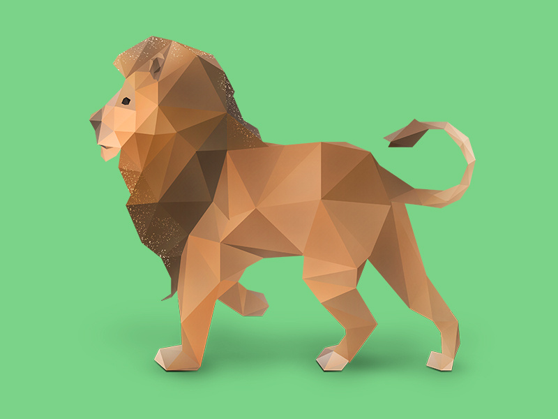 Lion. by Diana D'Achille on Dribbble