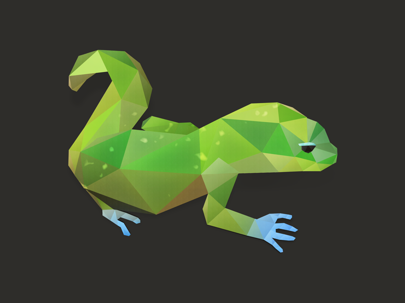 Gecko. by Diana D'Achille on Dribbble