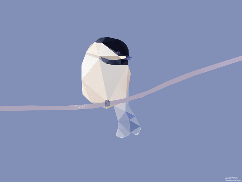 Low Poly Chickadee. by Diana D'Achille on Dribbble