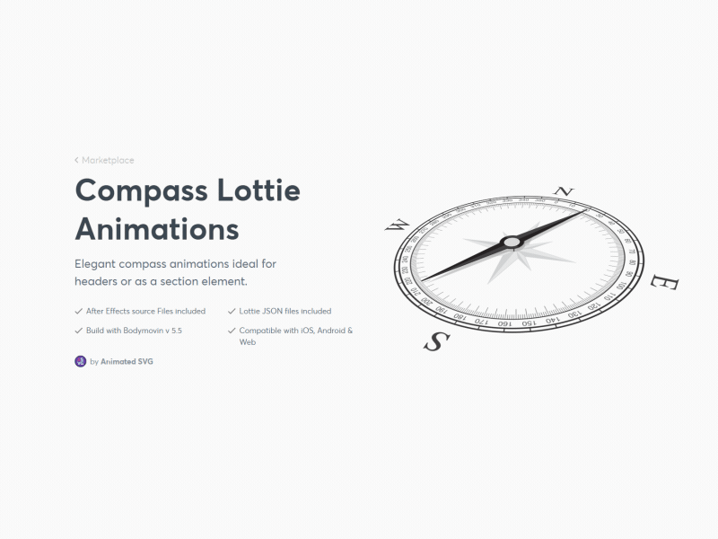 Compass - Lottie animation by LottieFolder.com on Dribbble
