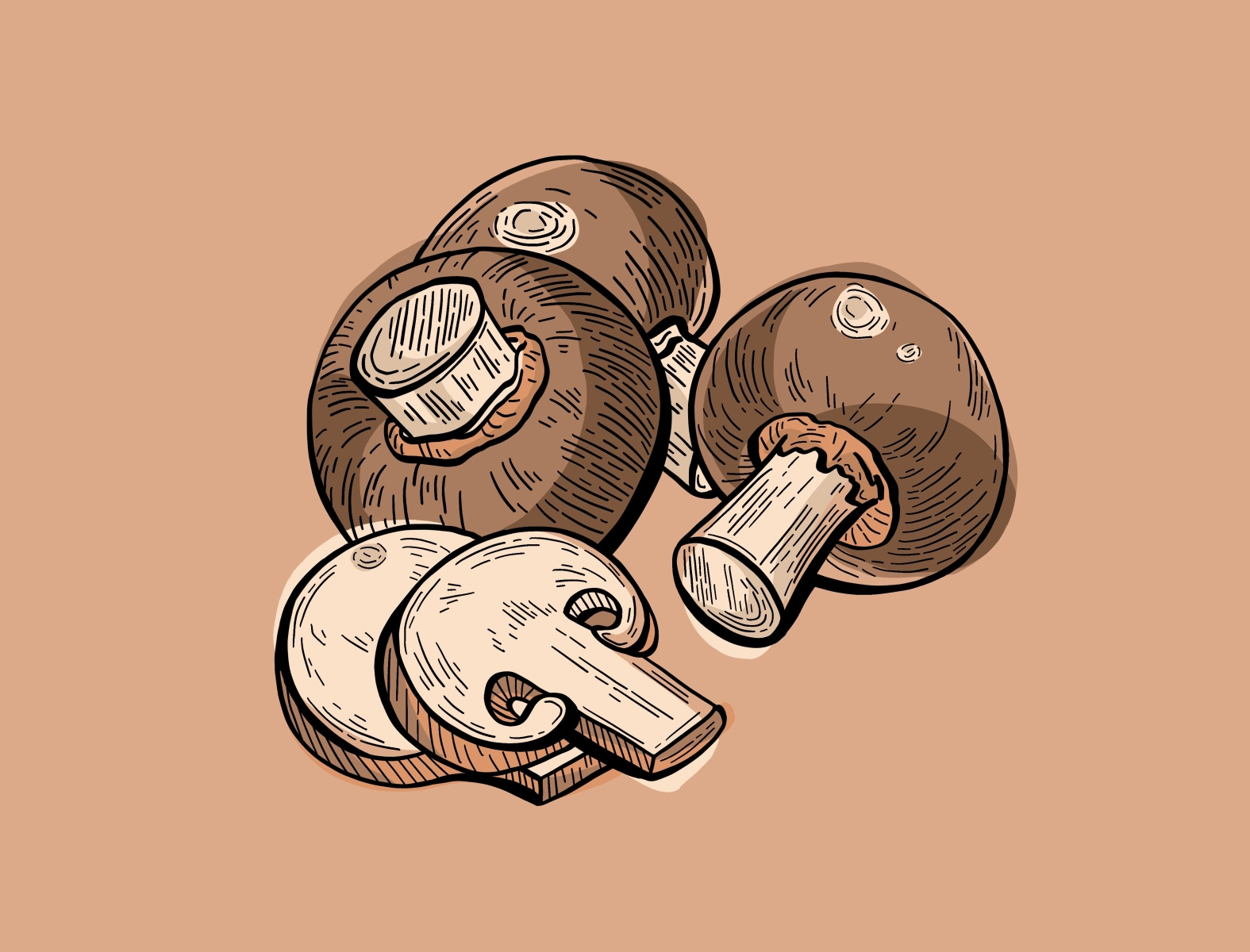 Mushroom Drawing