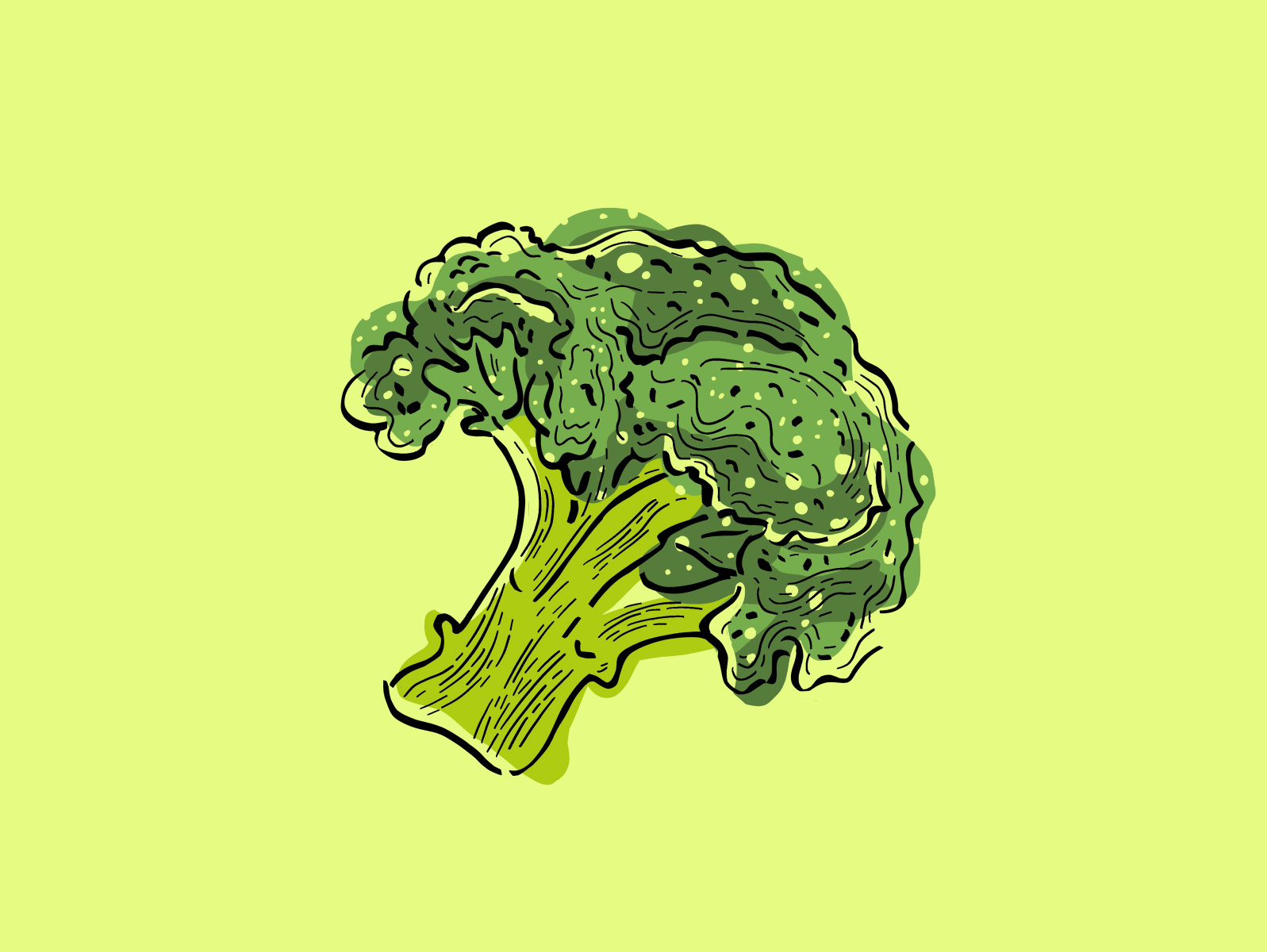Broccoli Illustration by Jen Borror | Hoot Design Studio on Dribbble