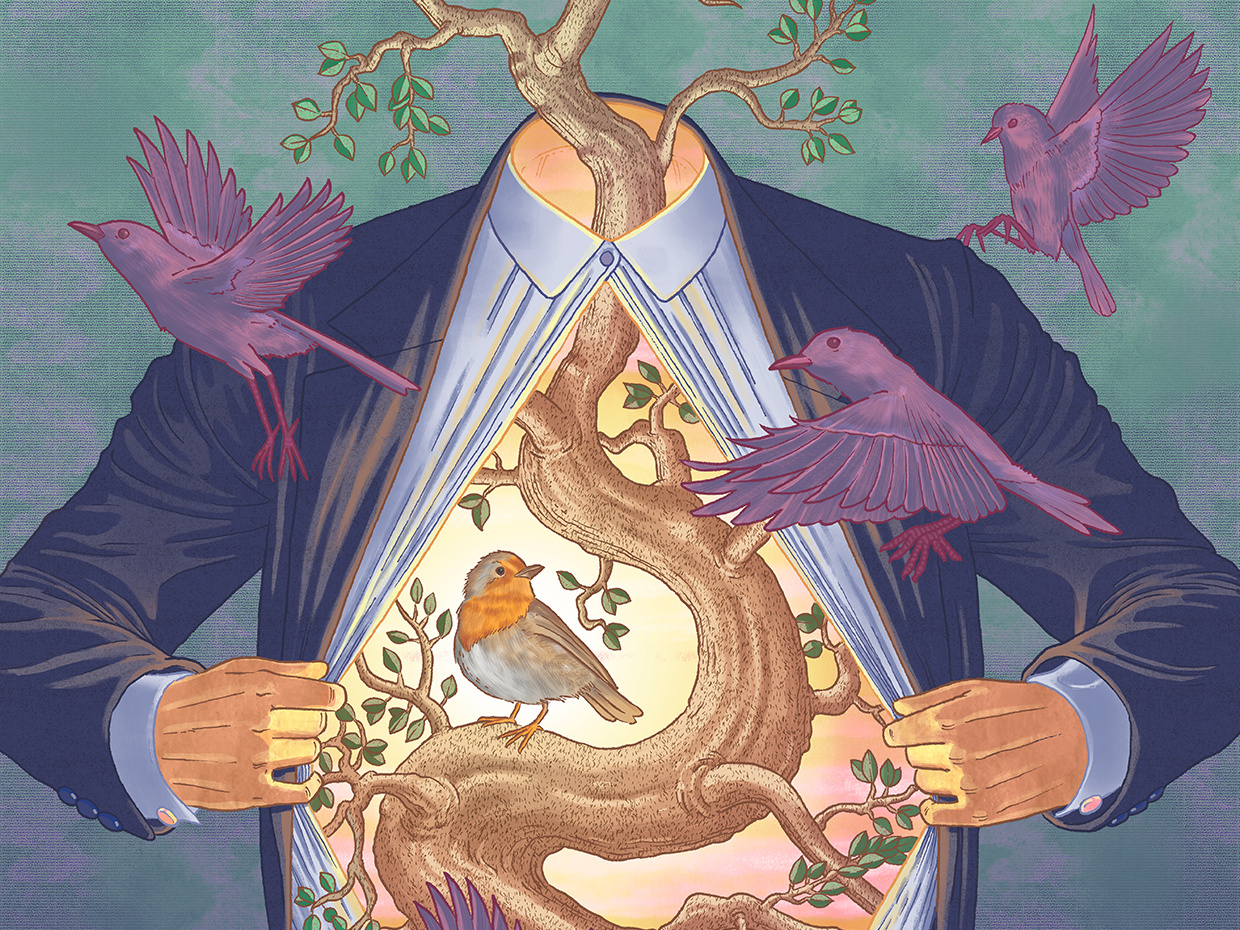 Robin by Alberto Becherini on Dribbble