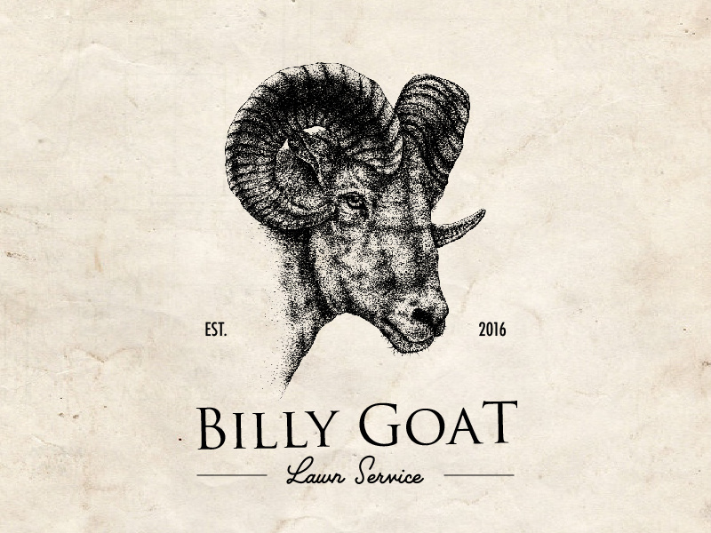 Billy Goat Logo by Nick Studio on Dribbble