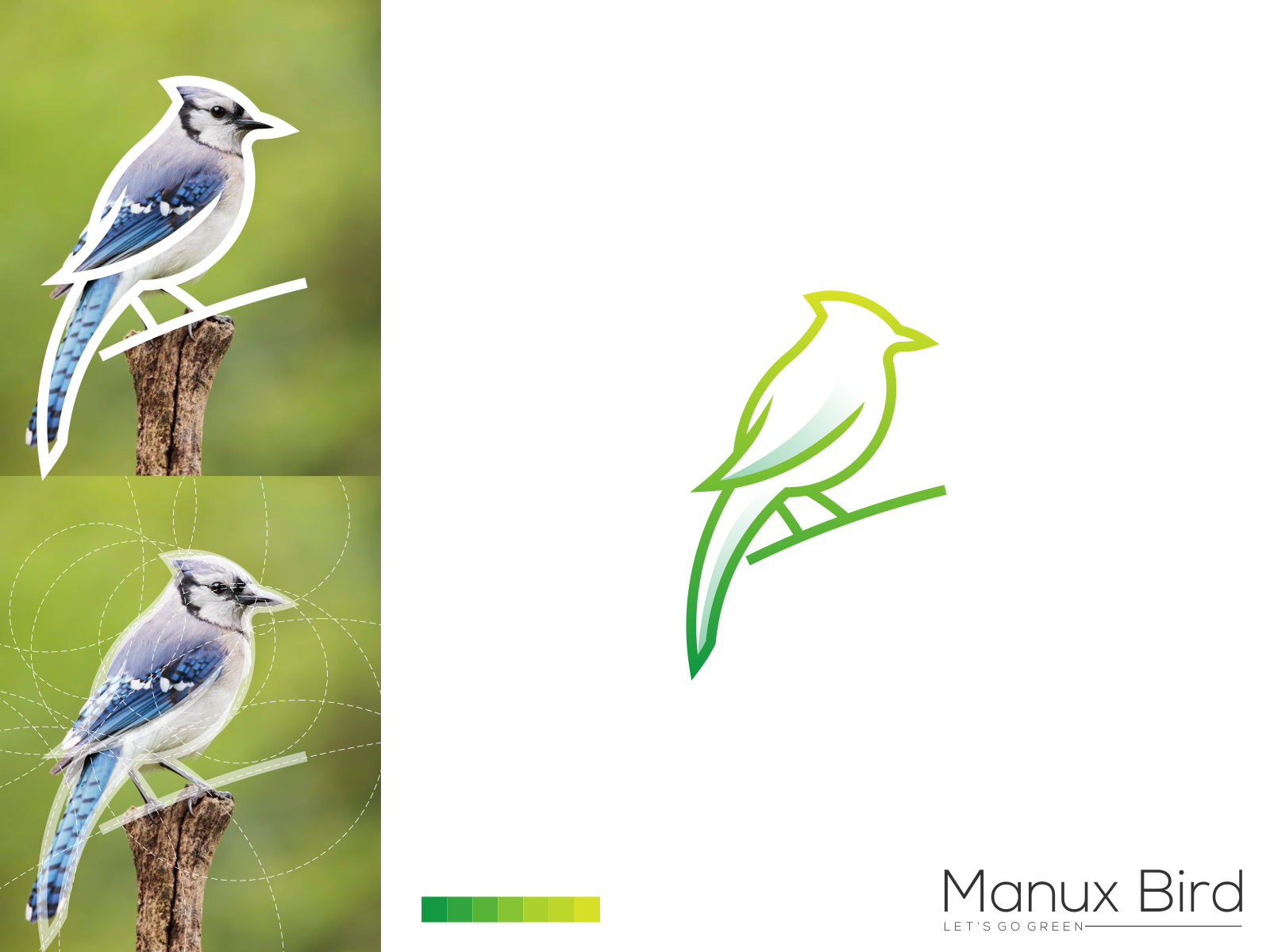 Manux Bird Logo by Flashlogo Studio on Dribbble