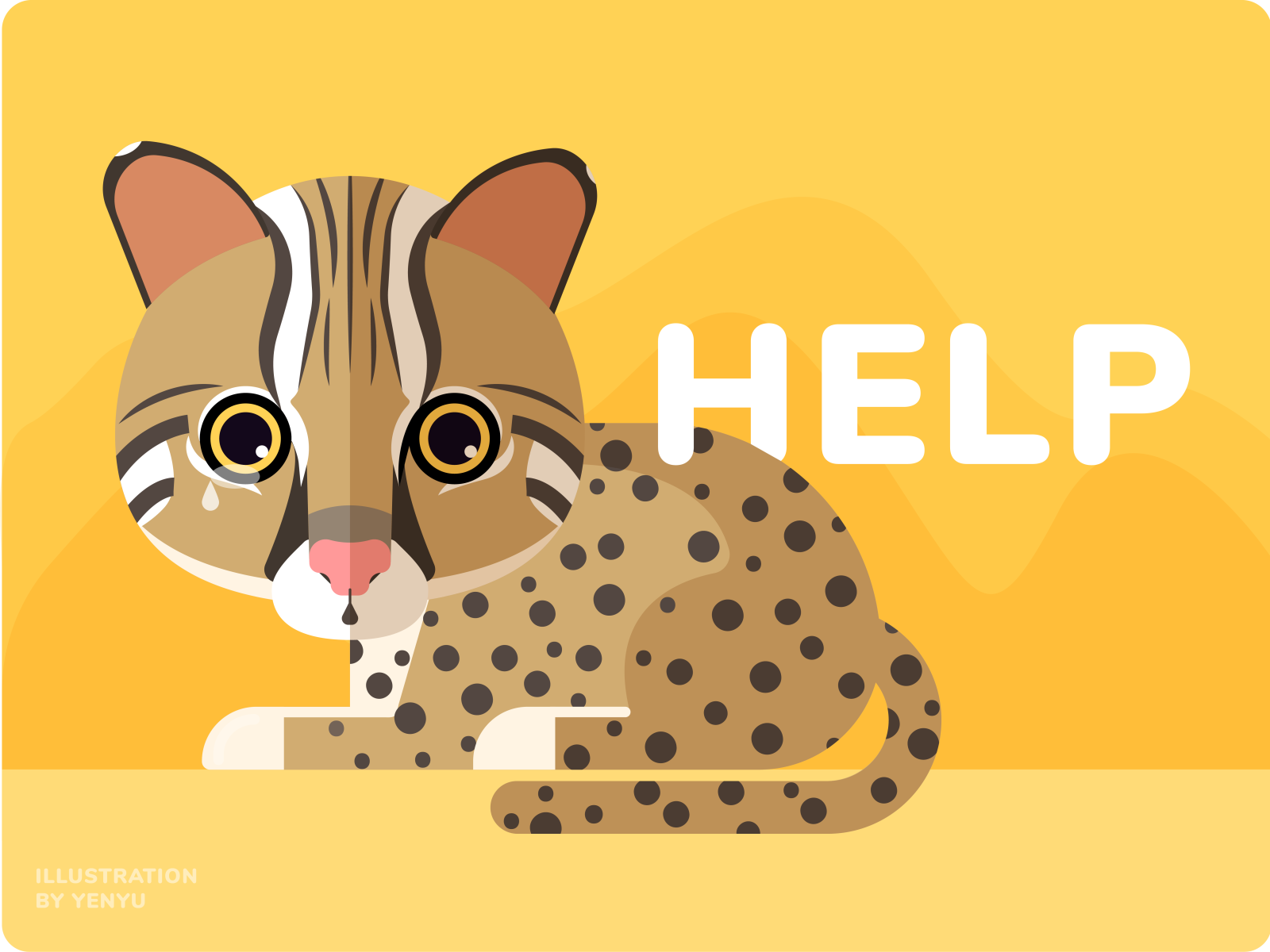 Leopard Cat by Yen-Yu Chang on Dribbble