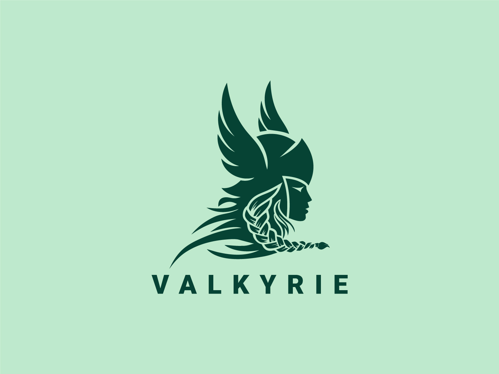 Valkyrie Logo by HUSSNAIN GRAPHICS on Dribbble