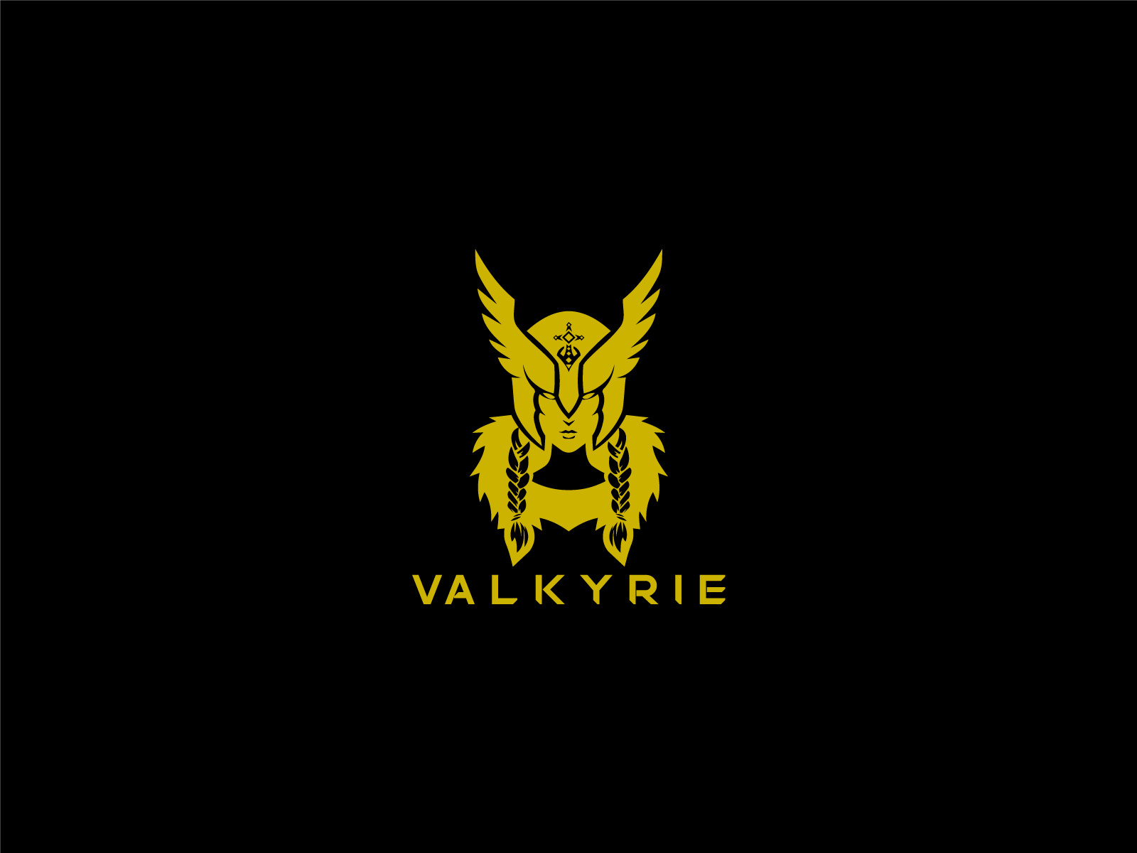 Valkyrie Logo by HUSSNAIN GRAPHICS on Dribbble
