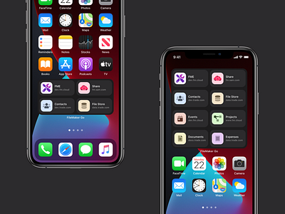 iOS FileMaker Go Widget Concept by Sam Reis for Bevl Software on Dribbble