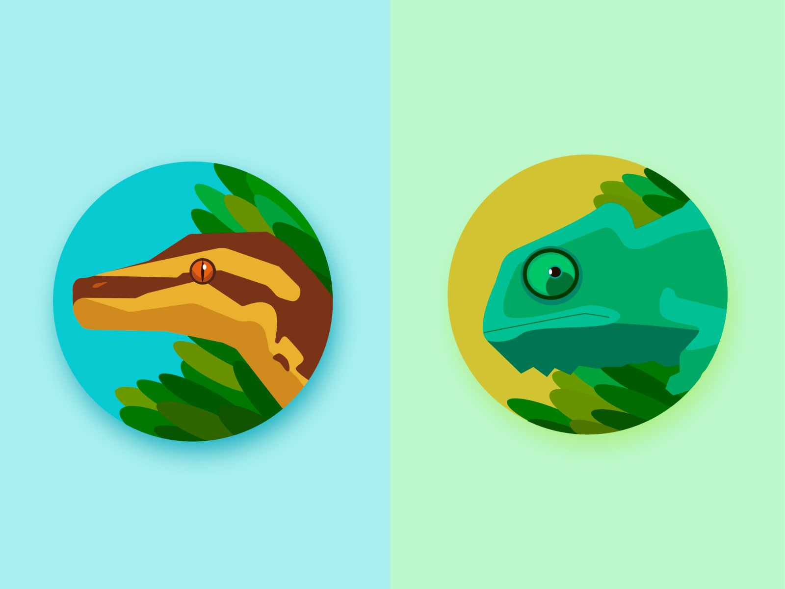 Australian icons#3 Reptilies by Elizaveta Kharlamova on Dribbble