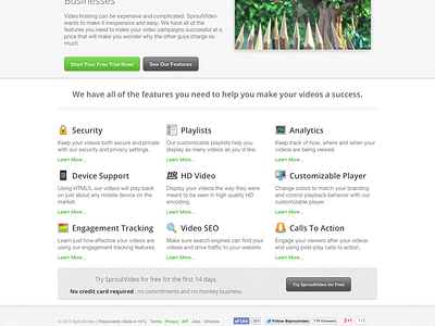 SproutVideo Homepage, v1 by Meagan Fisher Couldwell on Dribbble